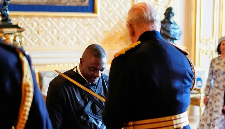 Idris Elba, Meera Syal, Paul Elliott And Others Knighted By King ...
